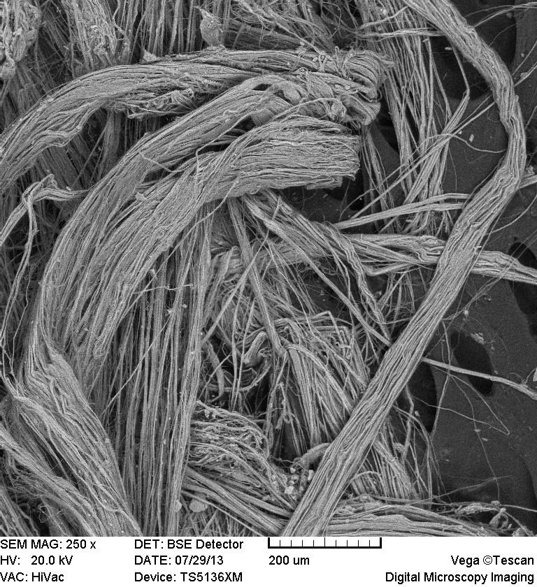Analisi di materiali contenenti amianto, il DISAT ottiene la qualifica ...